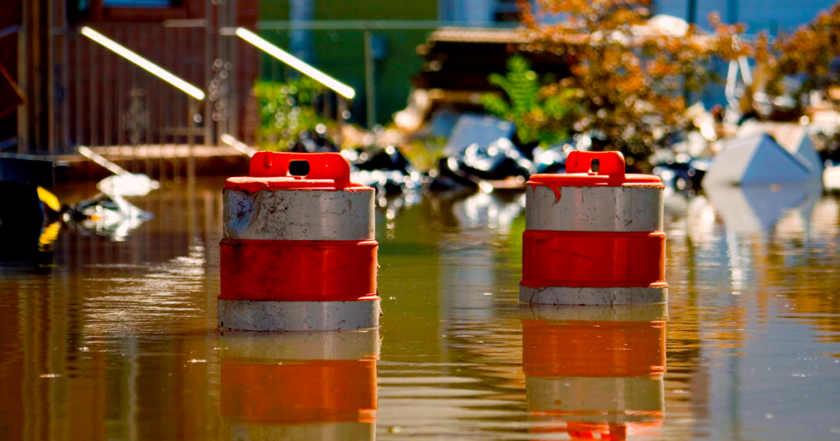 2025 Progress Report: Climate Risk Reporting in the U.S. Insurance ...